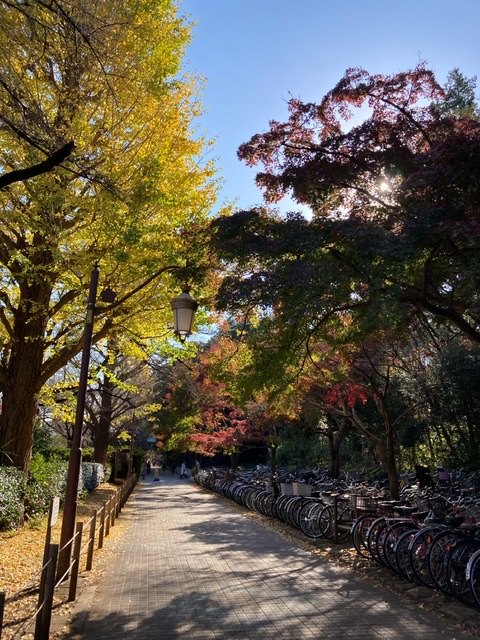 キャンパスのある街。。 - うたと からだと わたし