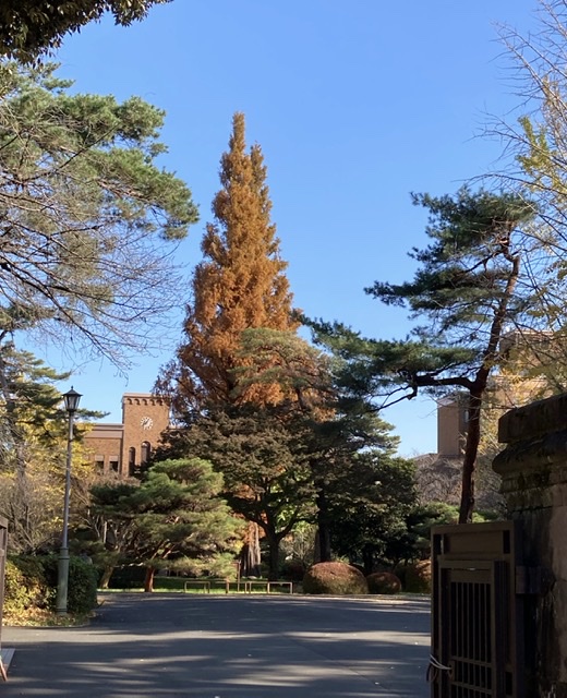 キャンパスのある街。。 - うたと からだと わたし