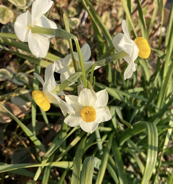 4月並の暖かな日に。。 - うたと からだと わたし