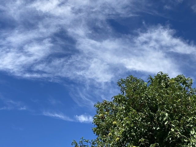 美しい光 - うたと からだと わたし