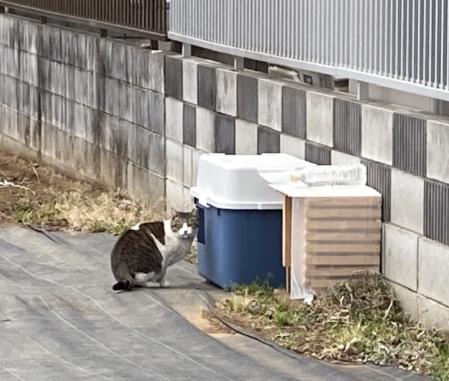北風を感じながら。。^ ^ - うたと からだと わたし