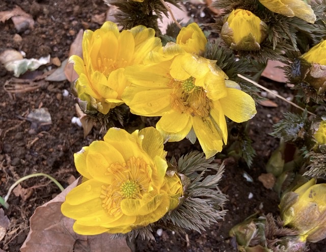 ホッとできた日^^ - うたと からだと わたし