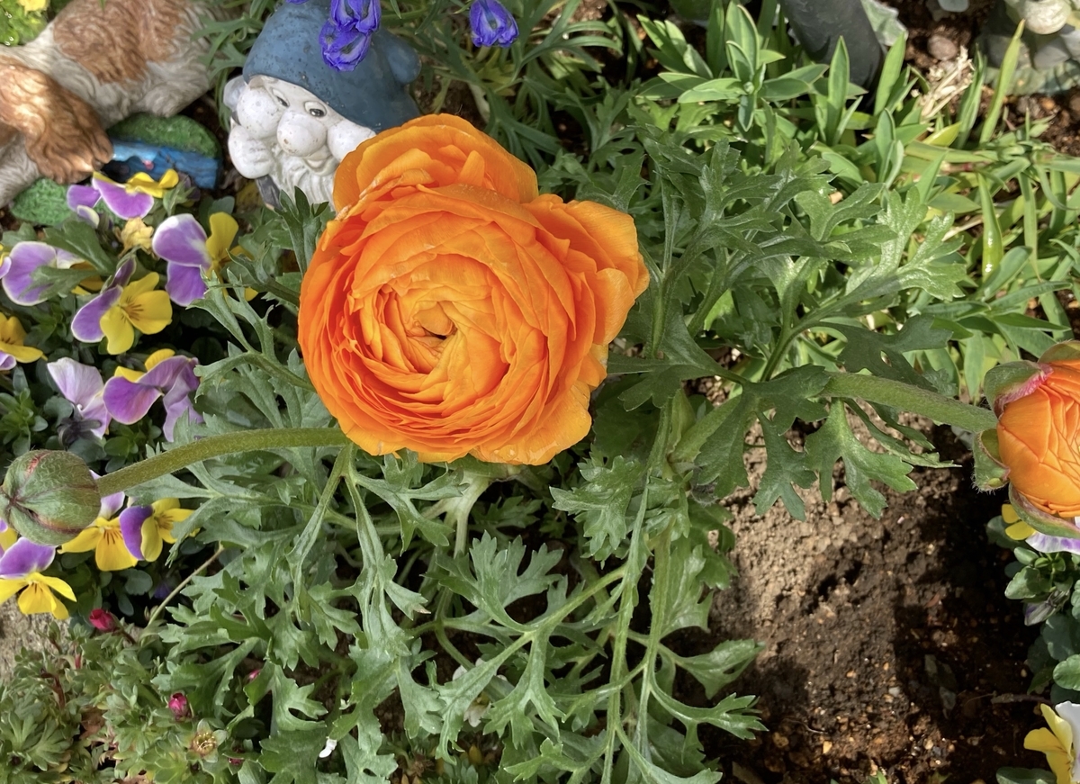 ゆっくりと歩いて行こう ” - うたと からだと わたし