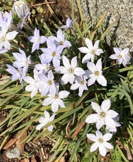 うたと からだと わたし