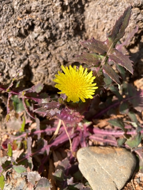 うたと からだと わたし