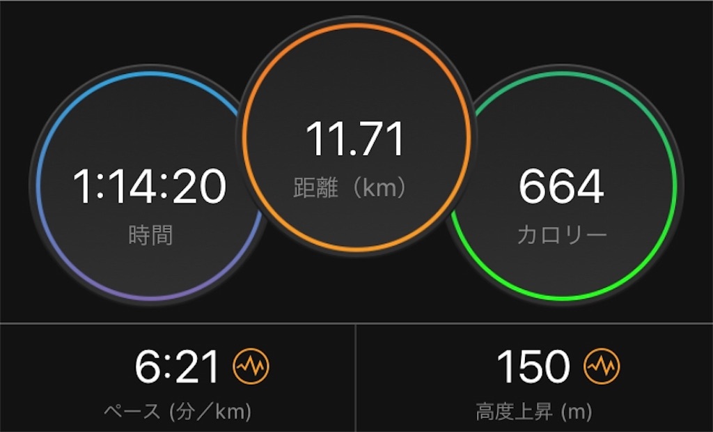 11km走ったので - トライアスリートになりたい 2.0