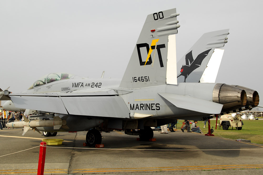 Canceled ancient F-18 project - Caracal Models - ARC Discussion Forums