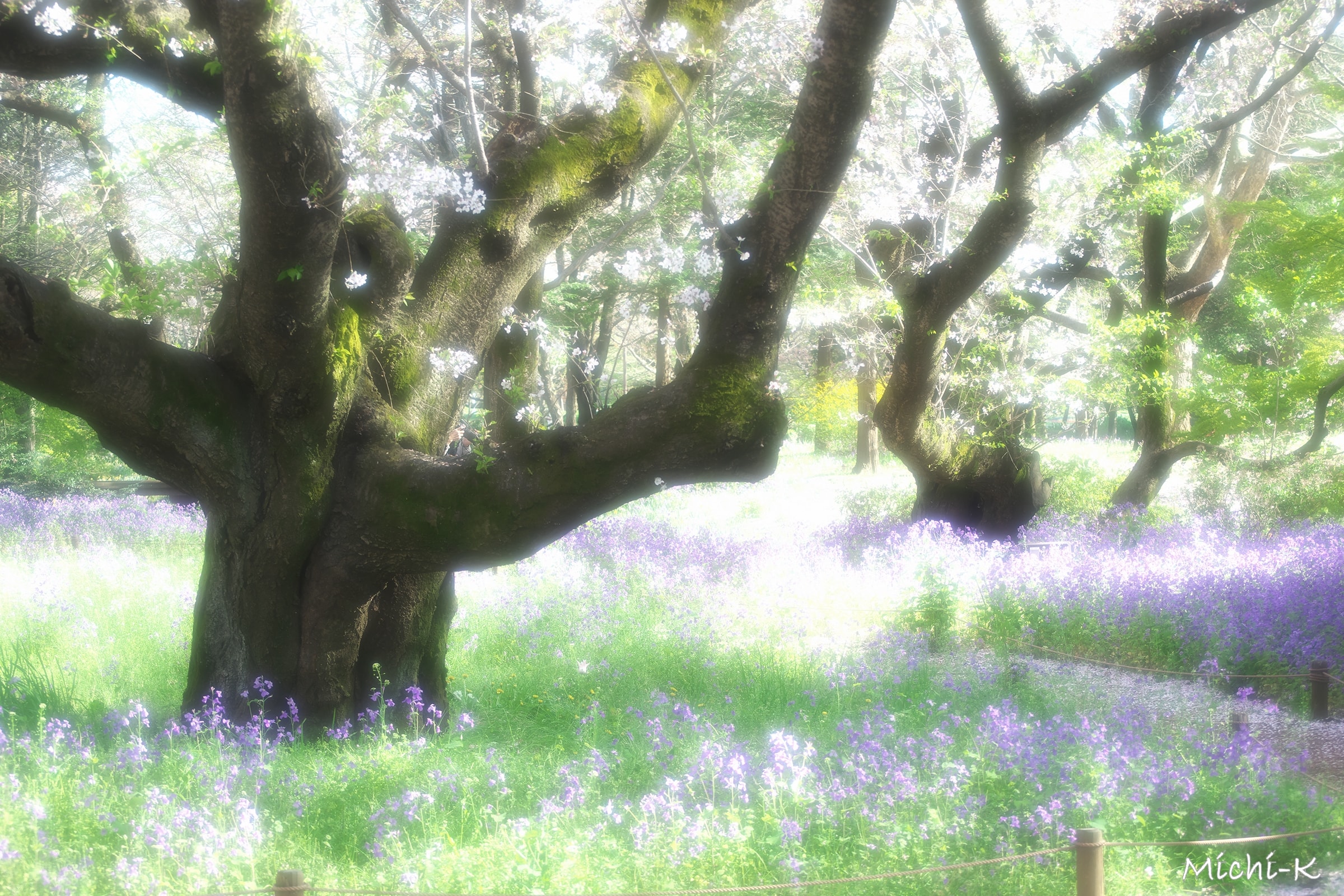 記憶 ♯4 - Return to Orion