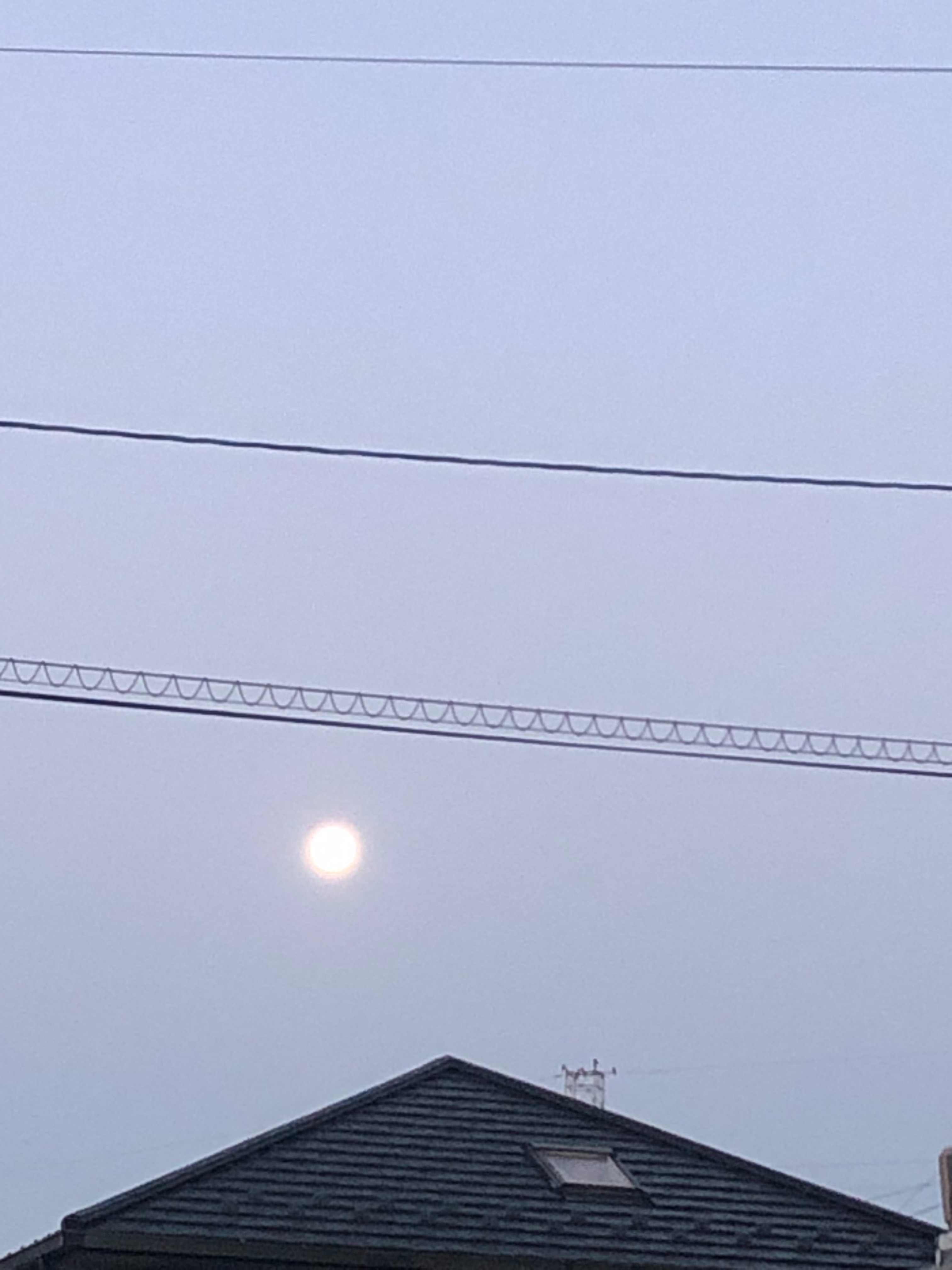 今年最後の - midoreene’s blog