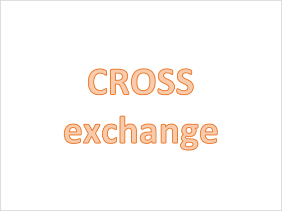 私が"CROSS exchange"に投資しない理由 - 英語多読したり投資したりFIRE目指したり