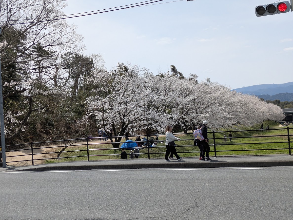 徒歩日本縦断旅 13日目【日帰り】久留米市～福岡市36km - 徒歩日本縦断3000kmの旅