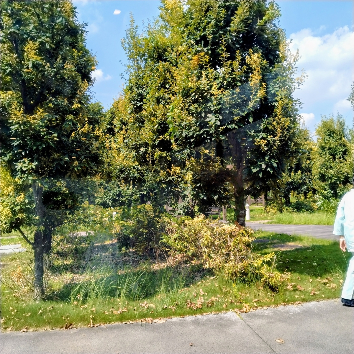 JX金属 絶好調 - 老後の株式投資