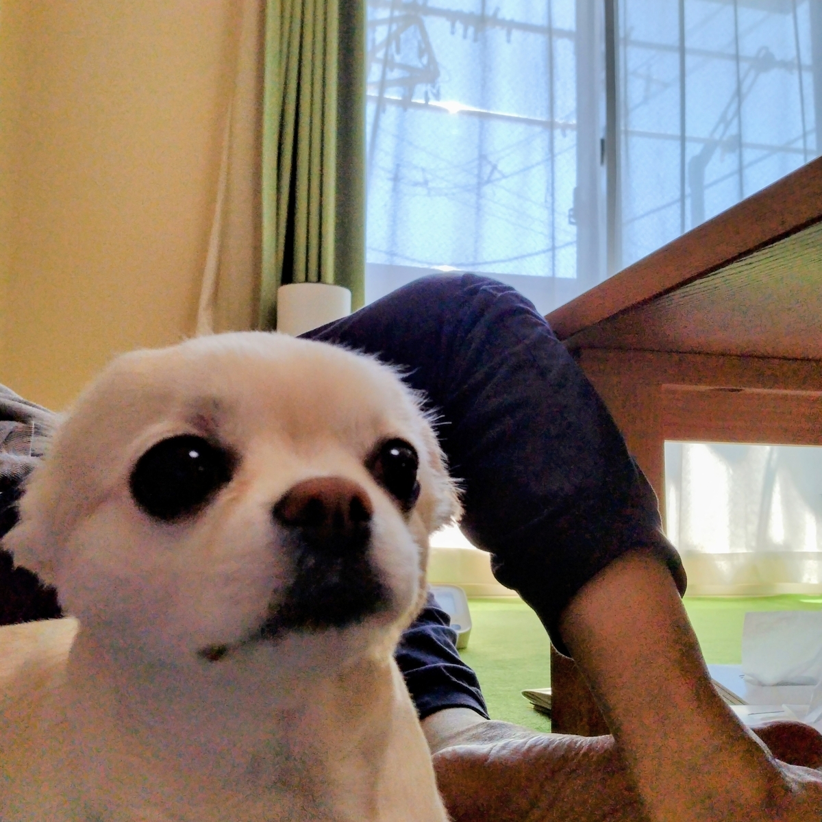 1日天下 - 老後の株式投資