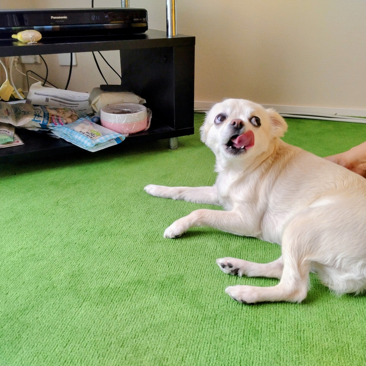 目標株価コンセンサスは4,700円 - 老後の株式投資