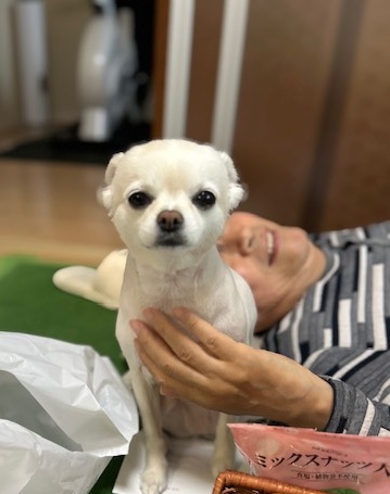 富裕層になるには - 老後の株式投資