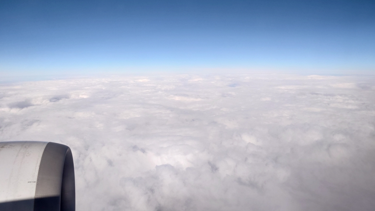 ANA プレミアムクラス搭乗記 NH22 ITM→HND 国際線機材で三ヶ日フライト - ラウンジ納税日記