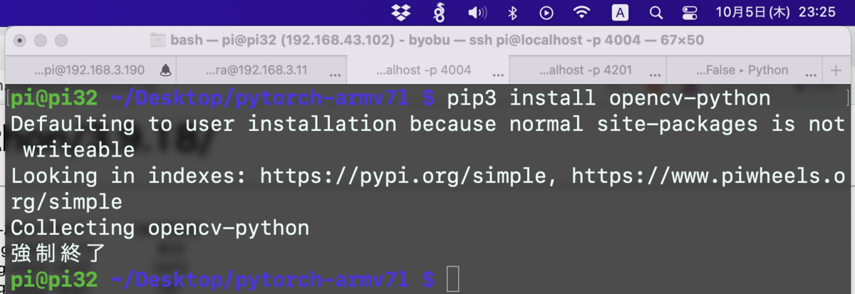 RaspberryPi3 + yolo 5 物体検知（Python3.7.3 → 3.9.18へアップデートも）→ numpyでエラー格闘 → OSをbusterからbullseyeへ ...