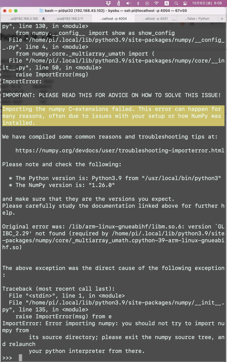 RaspberryPi3 + yolo 5 物体検知（Python3.7.3 → 3.9.18へアップデートも）→ numpyでエラー格闘 → OSをbusterからbullseyeへ ...