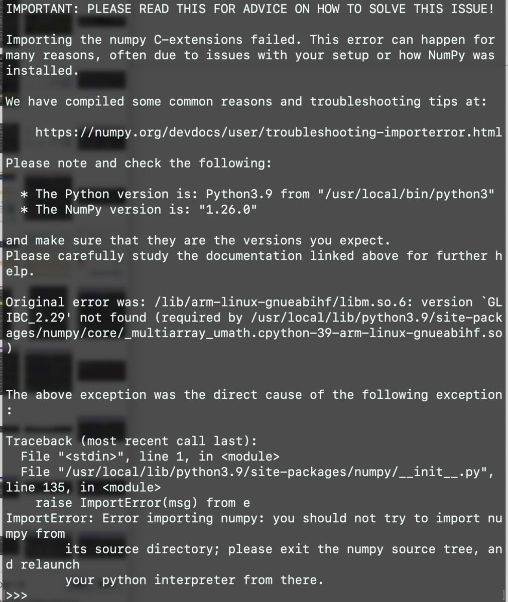 RaspberryPi3 + yolo 5 物体検知（Python3.7.3 → 3.9.18へアップデートも）→ numpyでエラー格闘 → OSをbusterからbullseyeへ ...
