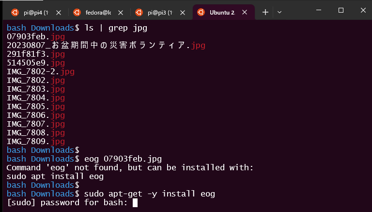 WSLにeogをインストールしたら画像表示できるのかな？ - min117の日記