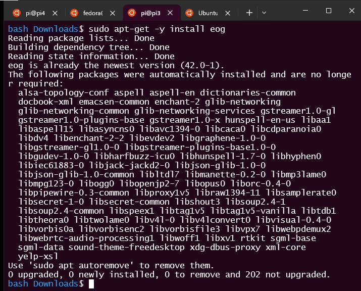 WSLにeogをインストールしたら画像表示できるのかな？ - min117の日記