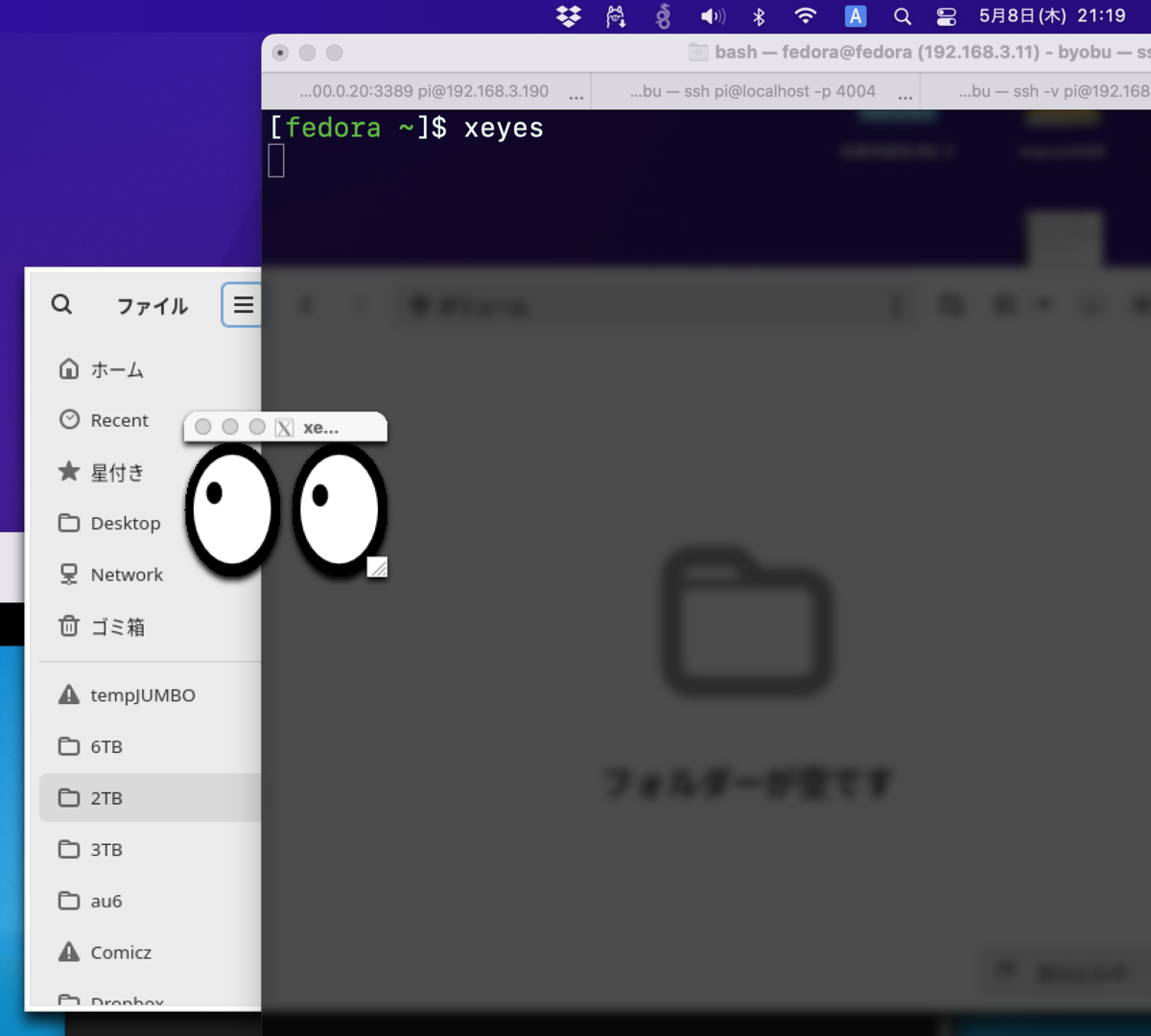 macOSからfedora41に ssh 接続 → X転送で xeyes や nautilus が動いて嬉しい - min117の日記