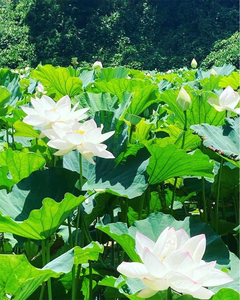 定期検診 - 子宮頸がんになりました