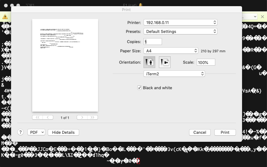 iTerm2 で `cat /dev/urandom` すると印刷ダイアログが出ることがある - mizdra's blog