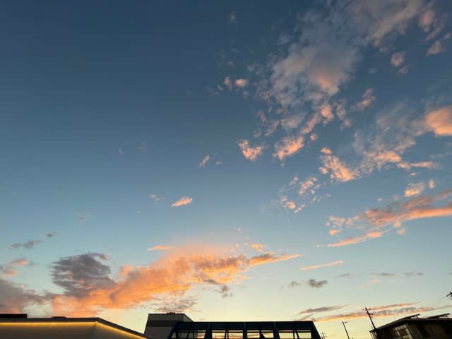 秋ですね - mmalice’s diary