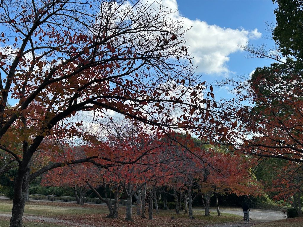 紅葉🍁は地元で十分 - mmalice’s diary