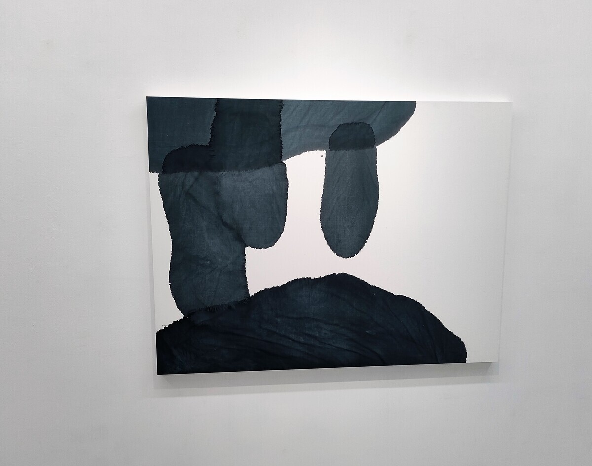 東京画廊＋BTAPのAyako Someya展を見る - mmpoloの日記