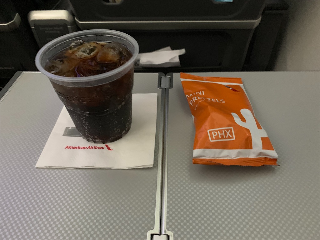 2019/8 Chicago 2 AA2412 DFW-ORD - 空飛んでます、ベッドで寝てます。