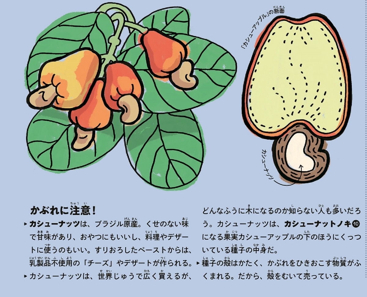 「マップス」作者の食べものを切り口に世界26か国絵本 - mojiru【もじをもじる】