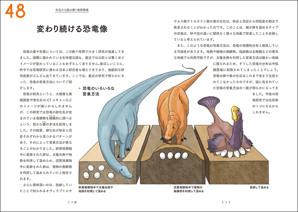 イラストでわかるきほんシリーズ化石本「化石のきほん」 - mojiru【もじをもじる】