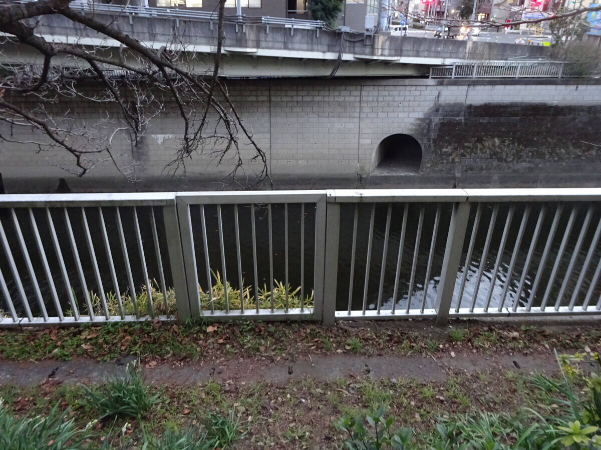 BBクリーム - 門門日日新聞