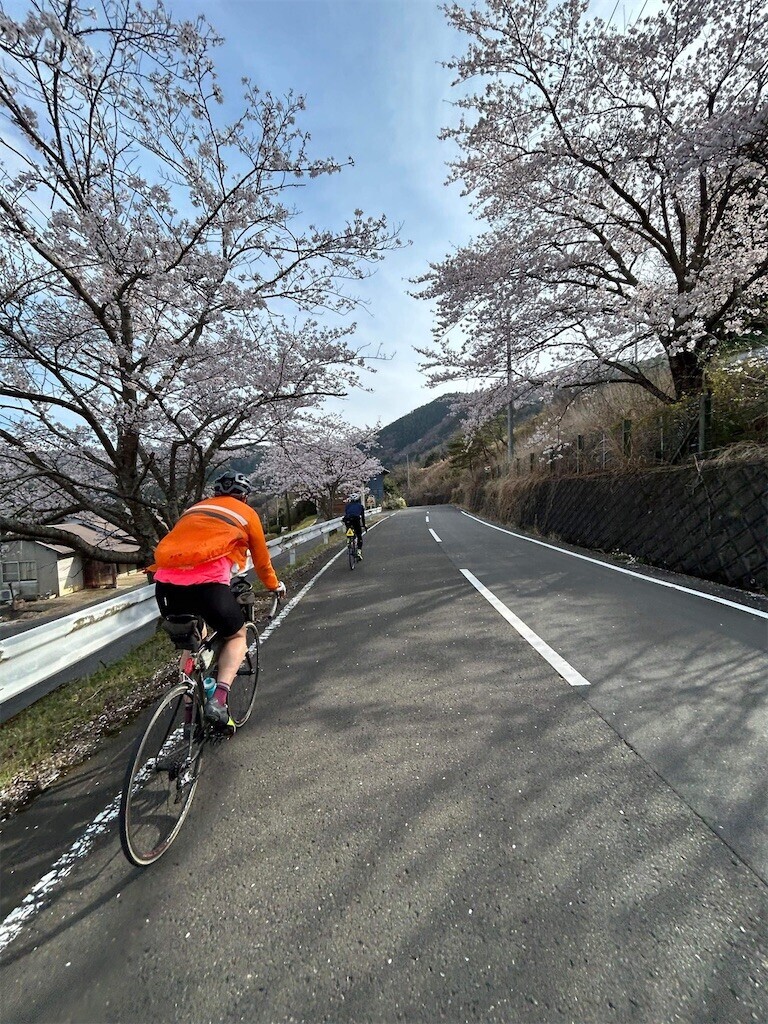 ブルベ練習会 - 朝焼けの中で