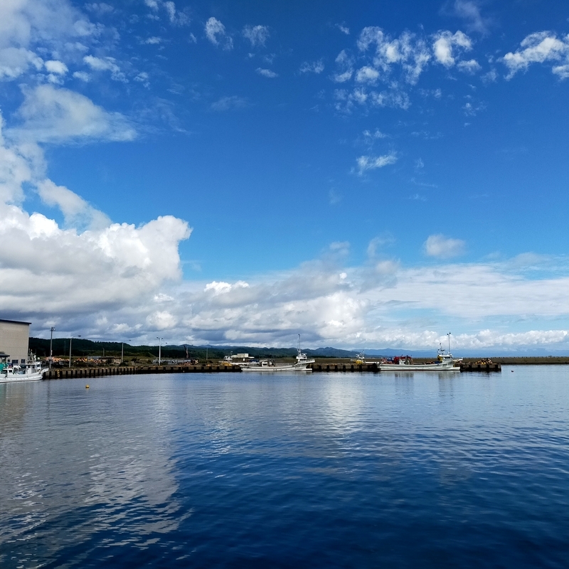 家族で釣り - こんちゅう探偵団