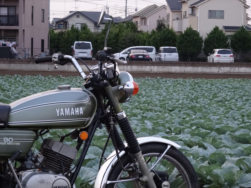 RD90で川越まで - goroの徒然なるままに・・・2nd.