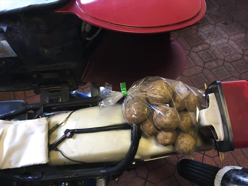 昨日のGR君（6月19日） - goroの徒然なるままに・・・2nd.