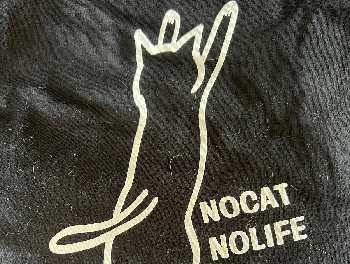 NOCAT NOLIFE！ - ネコオフィス