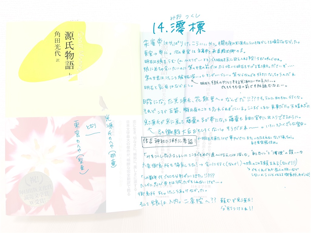 源氏物語を読んでる（須磨～澪標） - ゆめもすがら