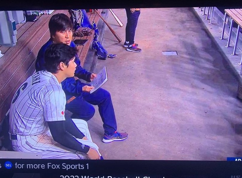 足元に注目 WBCのゴミとWBCIのヤミ - ms273747の日記