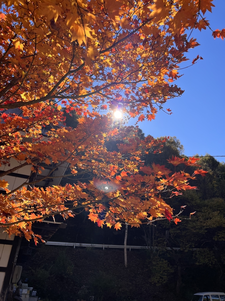 週末 - Moto Square Factory Blog 2!!