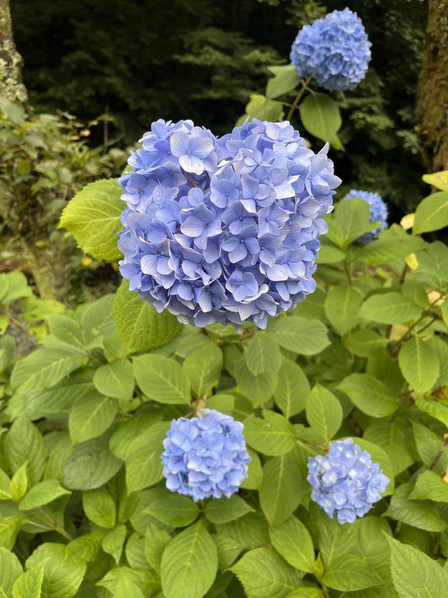 木陰 - Moto Square Factory Blog 2!!