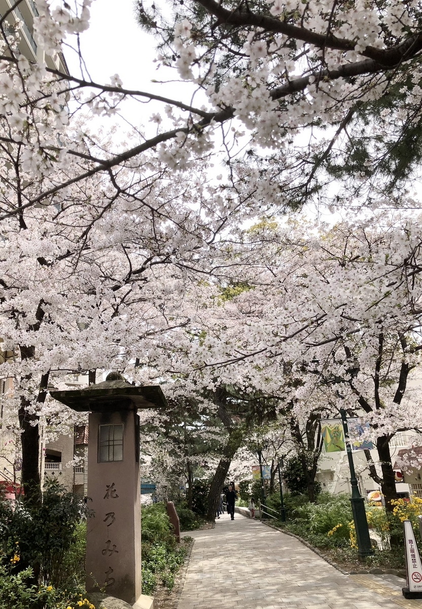 花乃みち - mucame_cobo’s blog