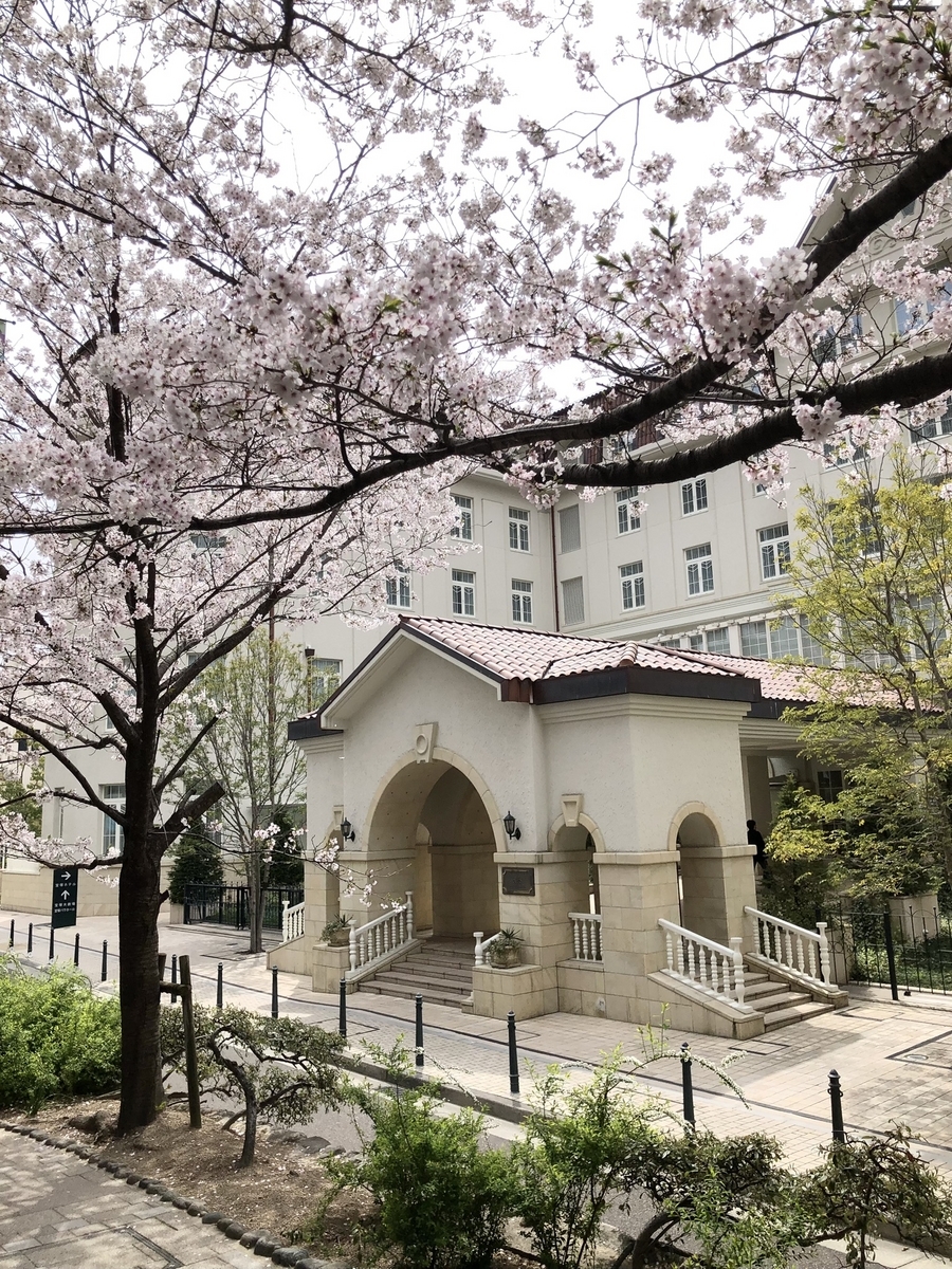 さくら - mucame_cobo’s blog