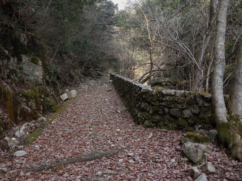 個別「20150309233516」の写真、画像 - mueP's fotolife