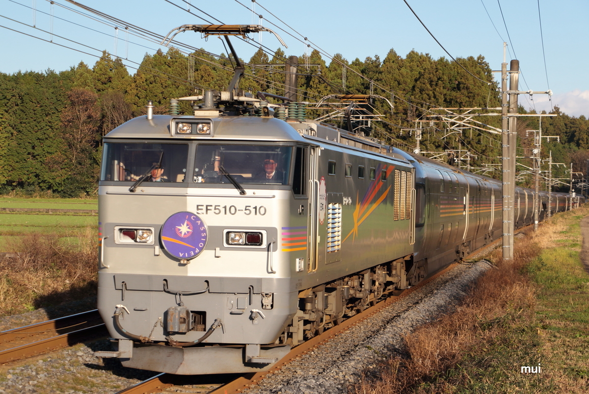銀色のEF510が牽くカシオペア - 鉄道と暇をたのしむ