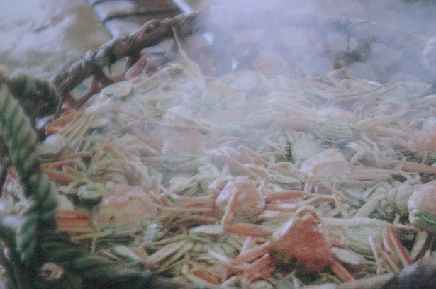 恨み節 松葉ガニ漁乗船ルポを想う - むらの幸福論