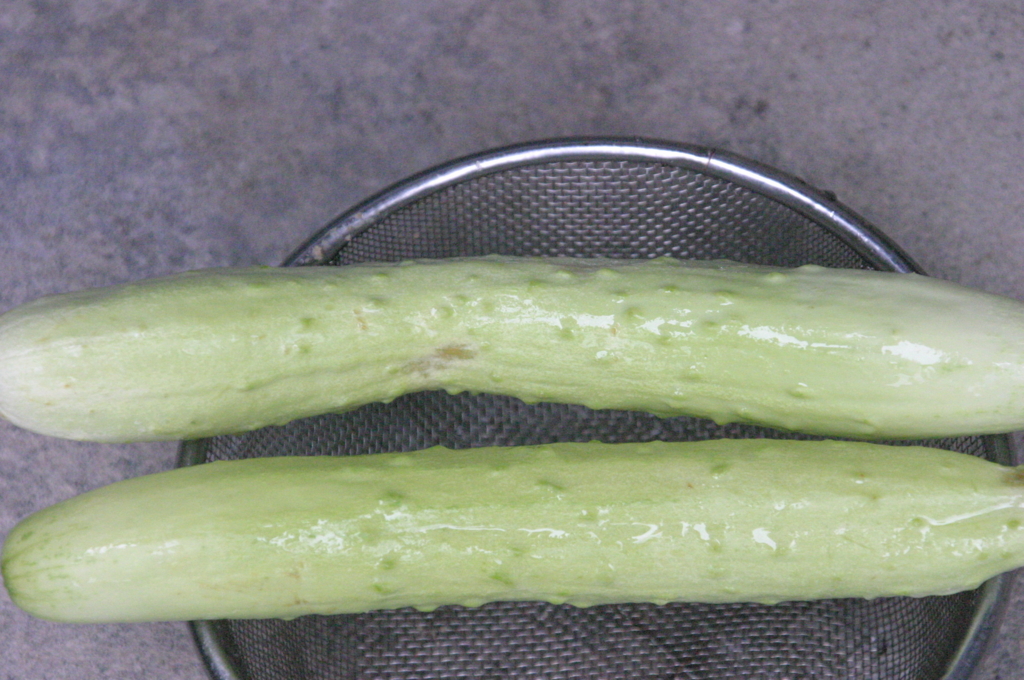 白いキュウリ - むらの幸福論